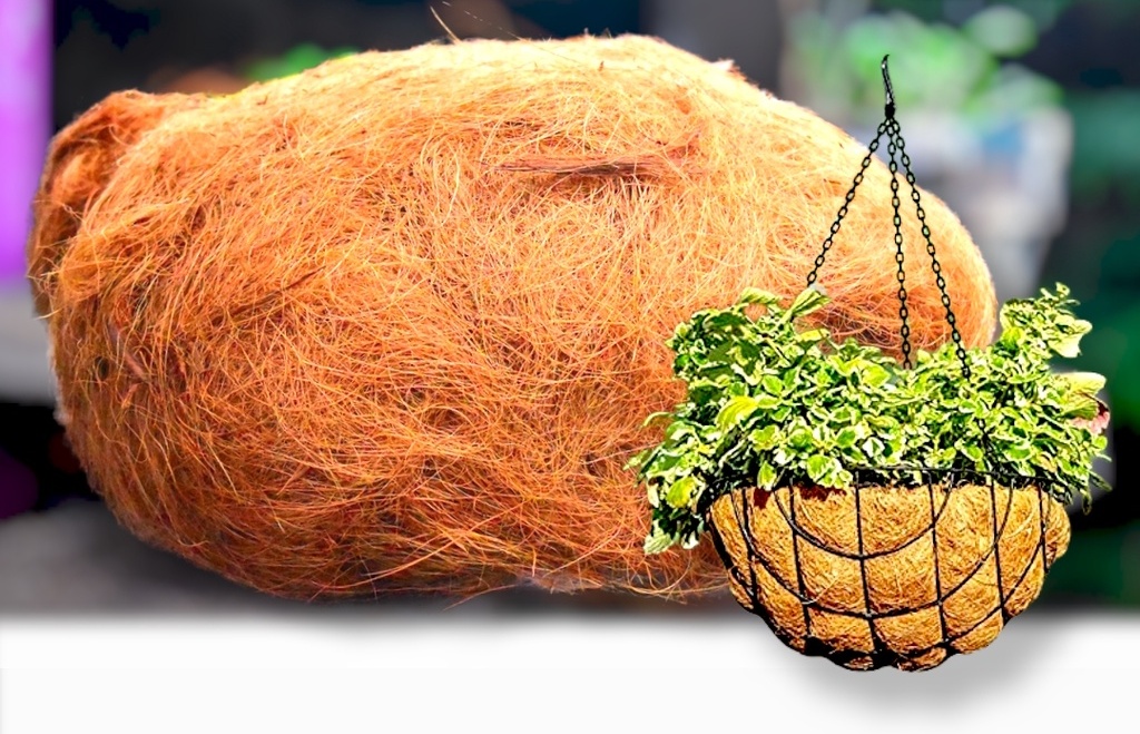 500 grams Coco Fiber / Coco Coir | Lazada PH