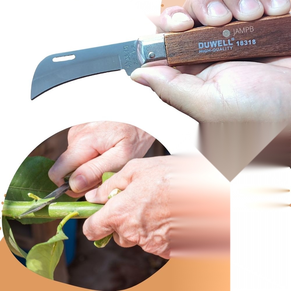 Duwell 18318 Budding Knife Grafting and Utility Knife high Quality ...